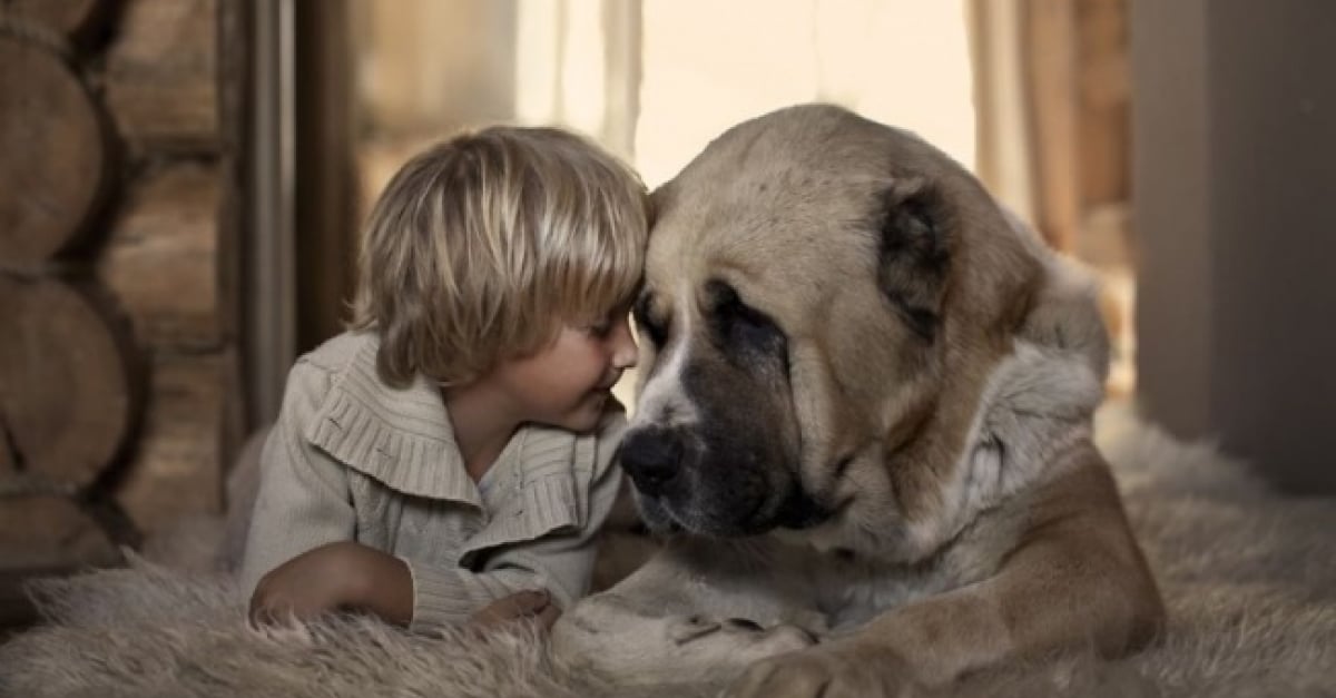 26 touching photos of kids with their dogs